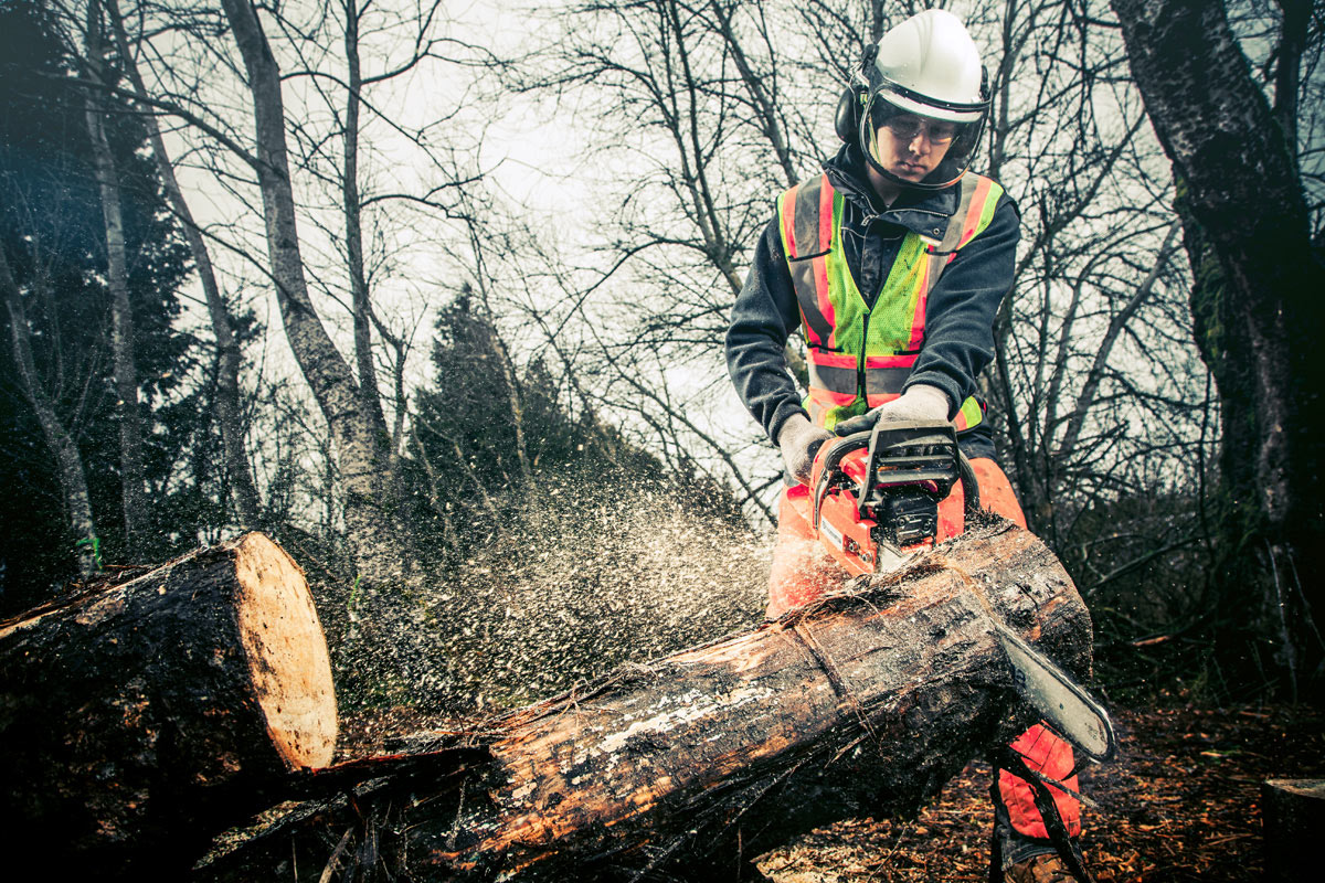 Utility Arborist | SkilledTradesBC